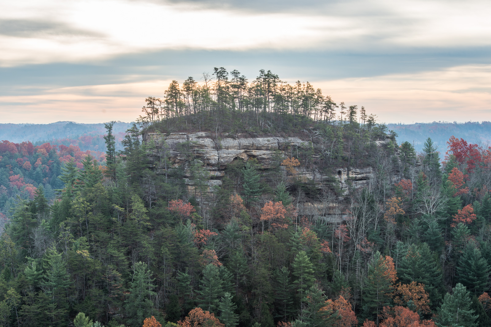 Treescapes (Red River Gorge State Park III) – The Inner Frame